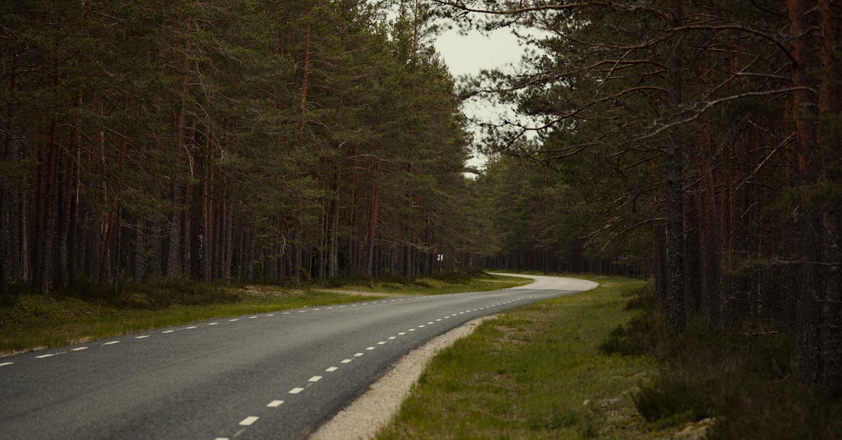 Road trips épiques : Itinéraires et conseils pour un voyage sur la ...